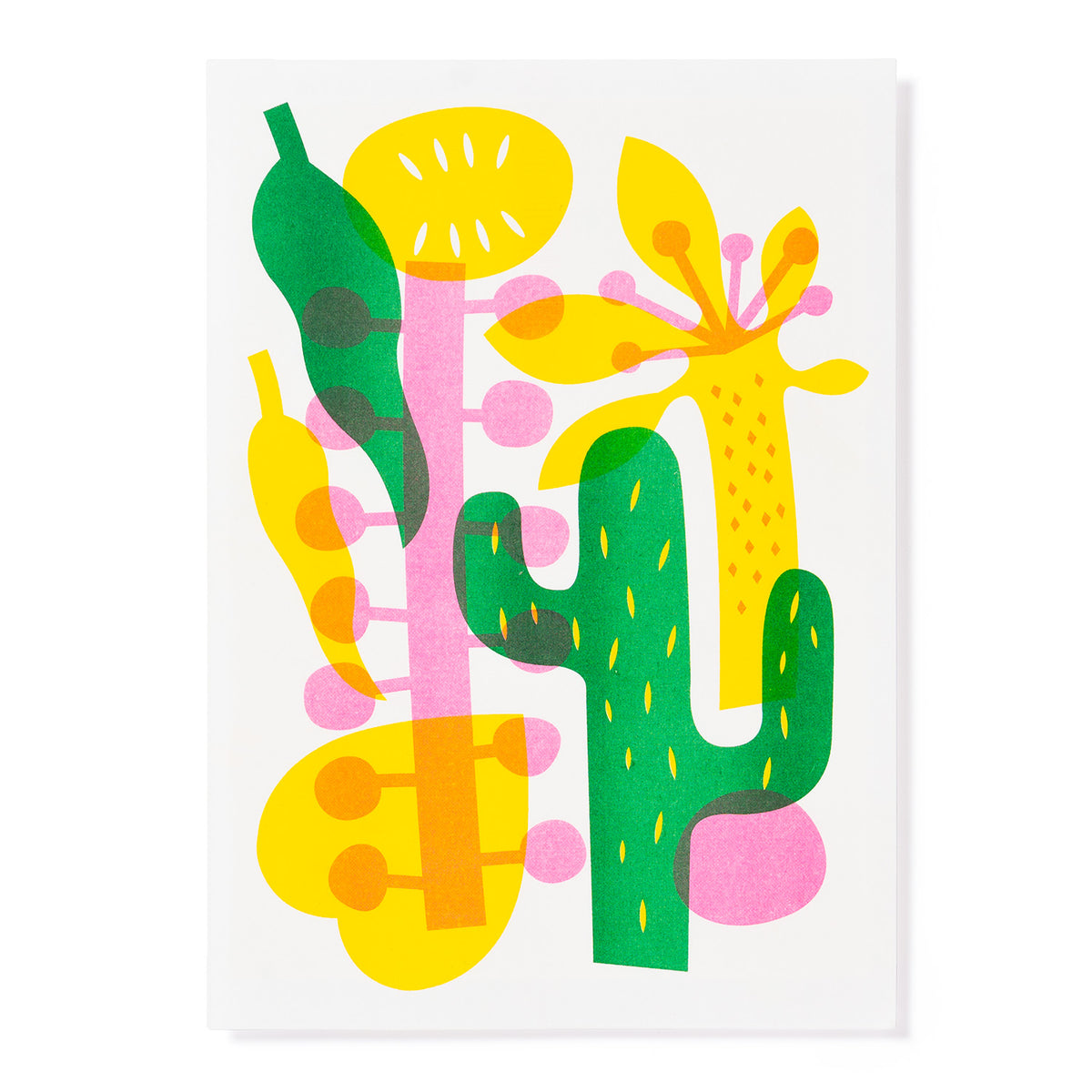 Riso Print - Cactus — Fred Aldous