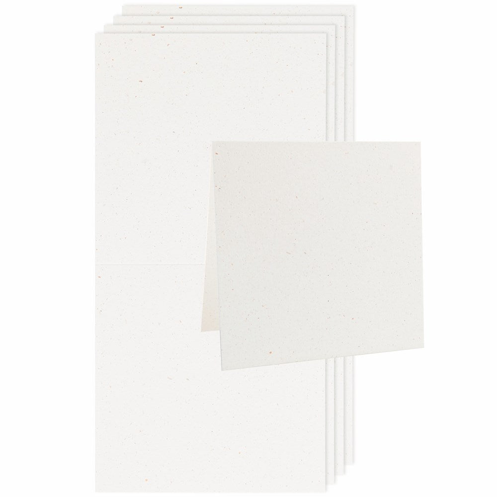Rico Paper Poetry Renew 5 Cards — Fred Aldous