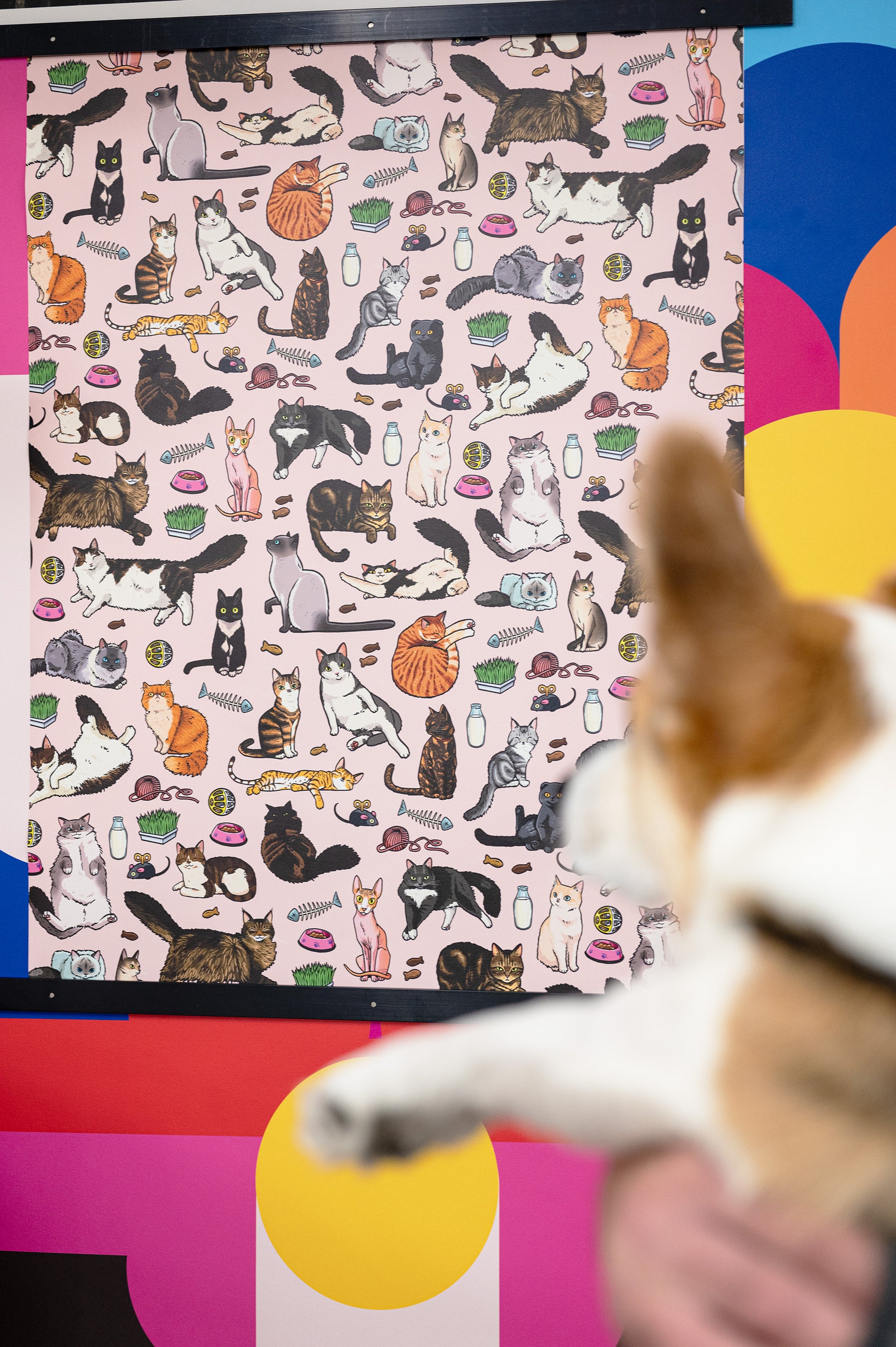 The Hammo — Fred Aldous