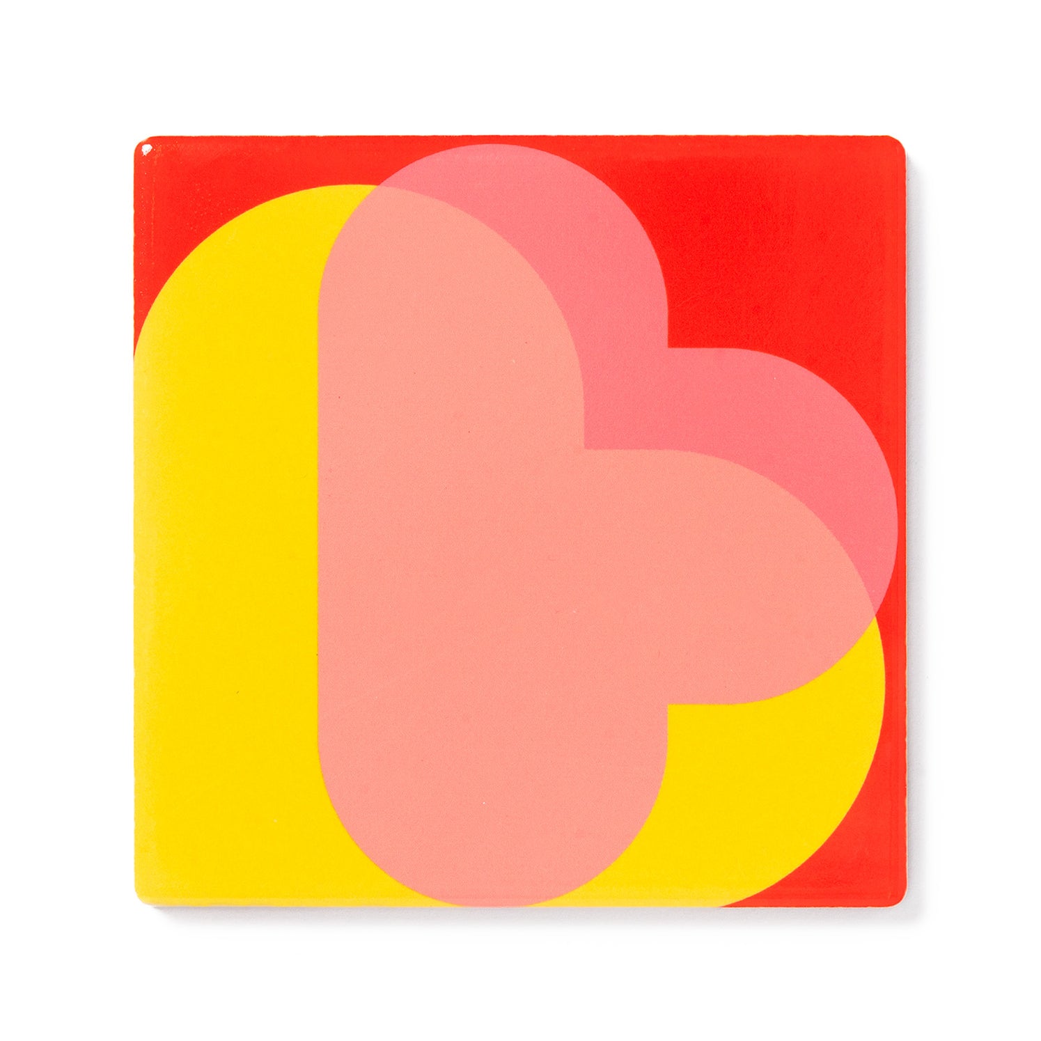 Fred Aldous X Clare Birtwistle