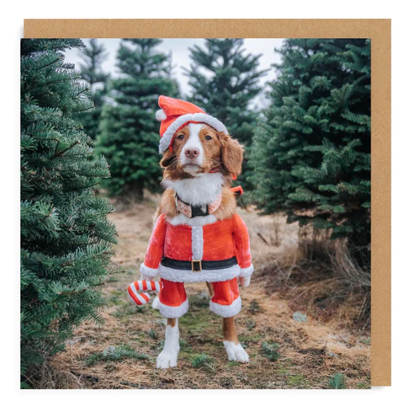 Maple Santa Square Greeting Card — Fred Aldous