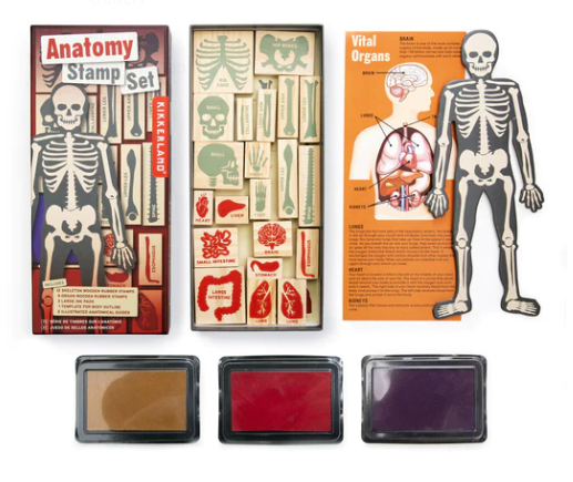 Anatomy Stamp Set — Fred Aldous
